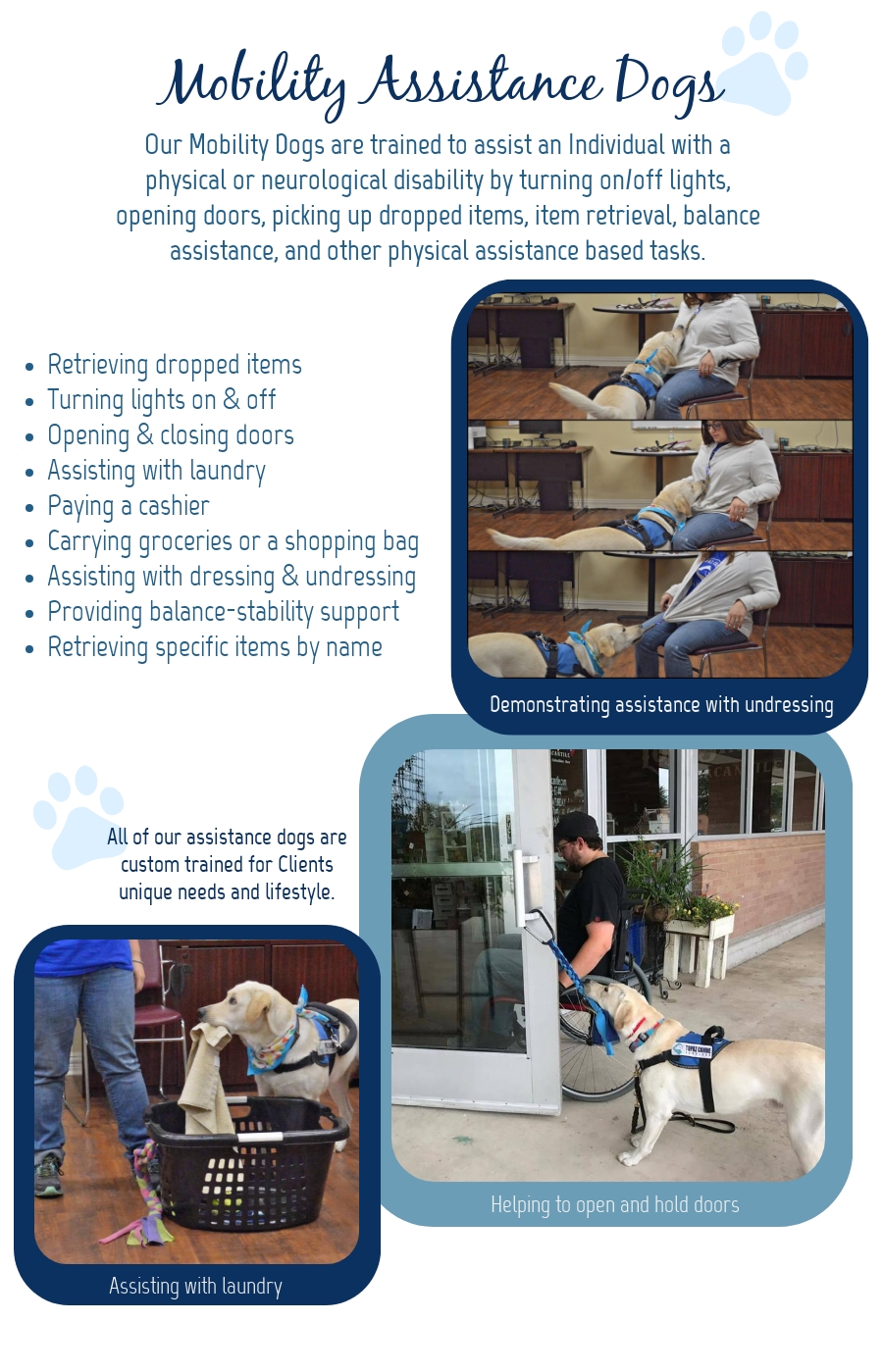 Mobility Assistance Dogs – Topaz Assistance Dogs INC