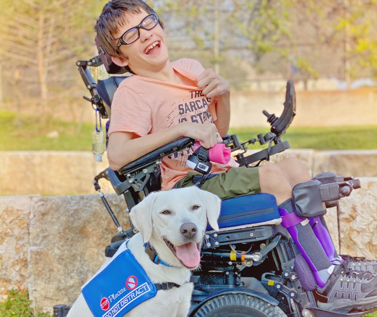 Topaz Assistance Dogs INC